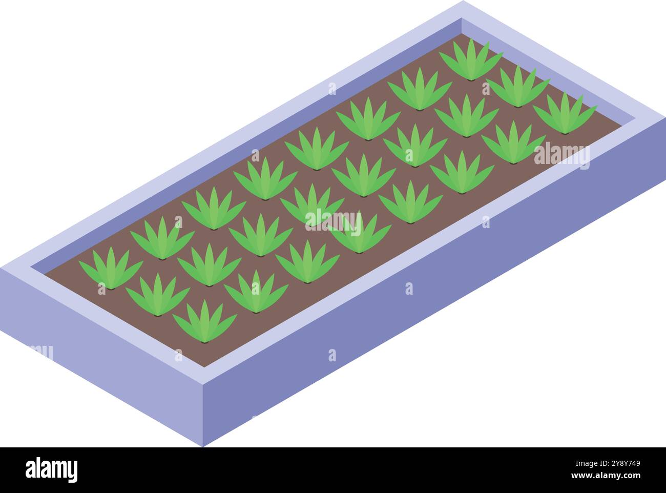 Green plants are growing in a raised bed, bringing a touch of nature to ...