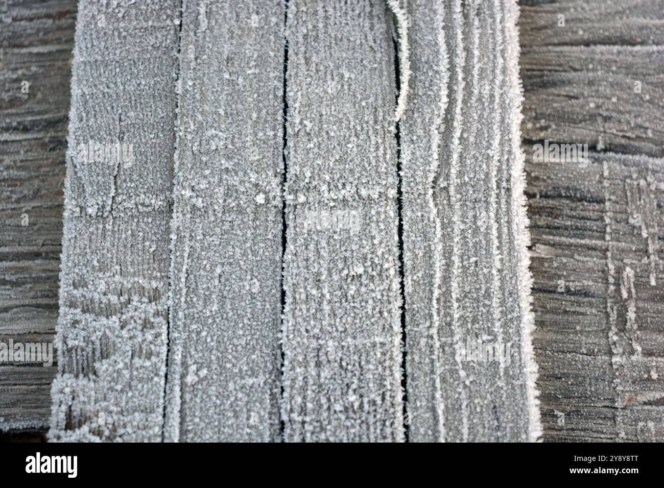 Unusual and bright nature of autumn and winter, early nature. Bright ...