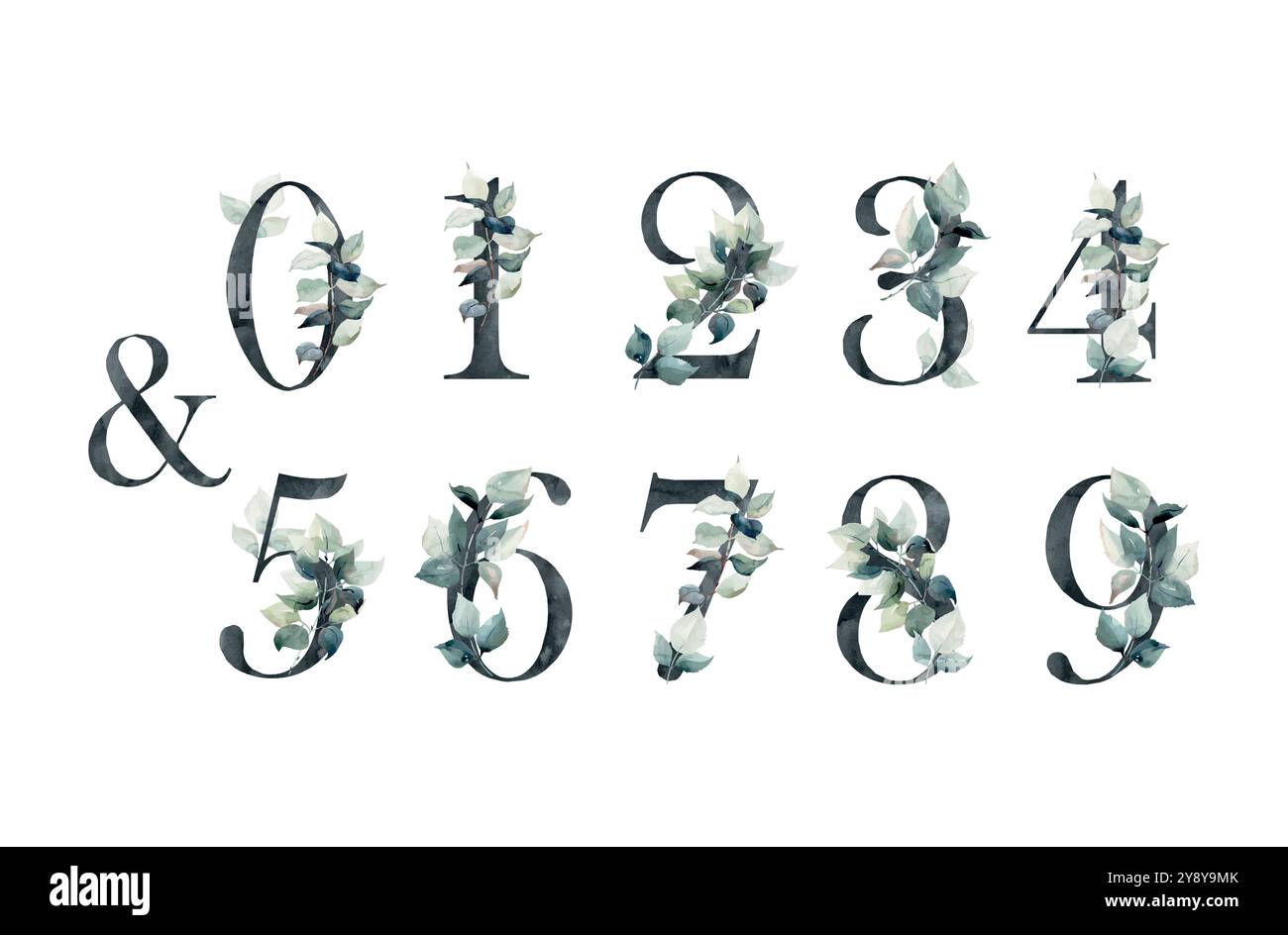 Watercolor floral numbers Stock Vector Image & Art - Alamy