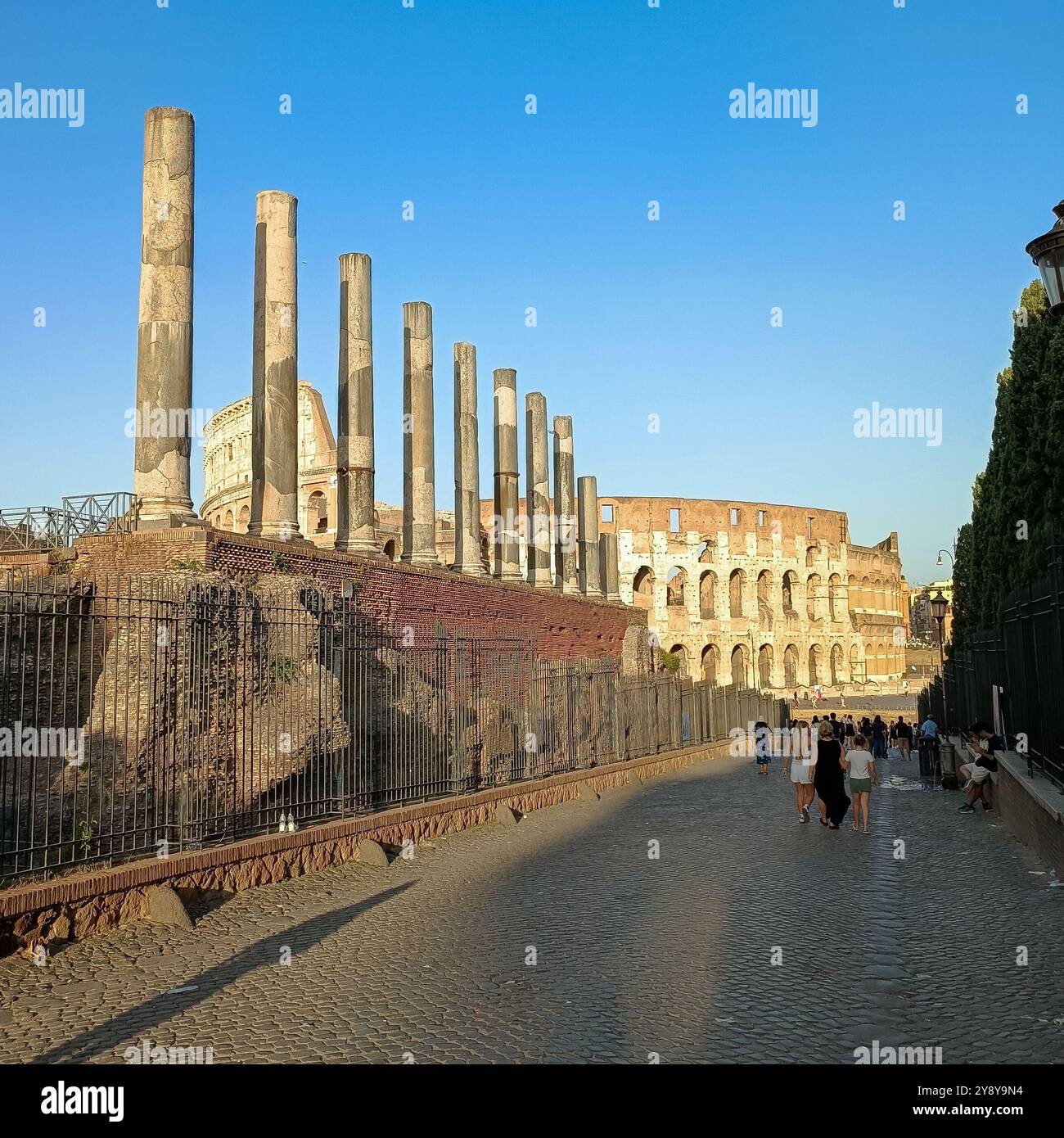 view of the colosseum and some ancient columns of the roman forum from ...