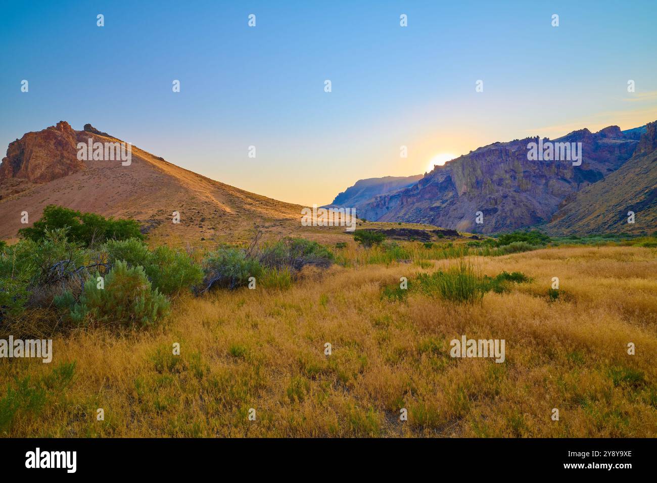 Open field with the sun rising at Birch Creek Ranch, Oregon Stock Photo ...