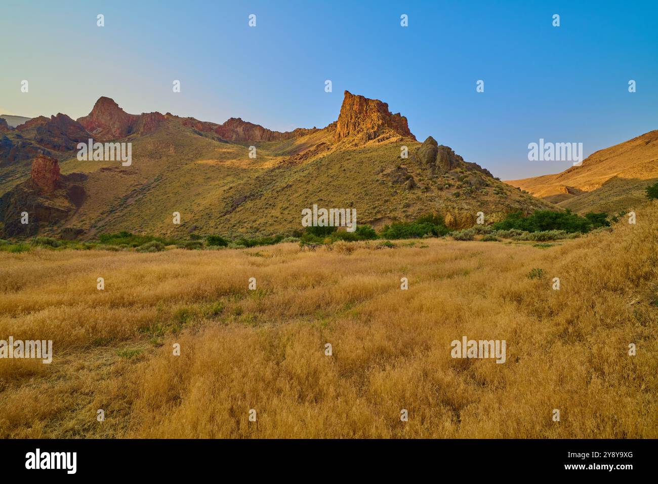 Open field at Birch Creek Ranch, Oregon Stock Photo - Alamy