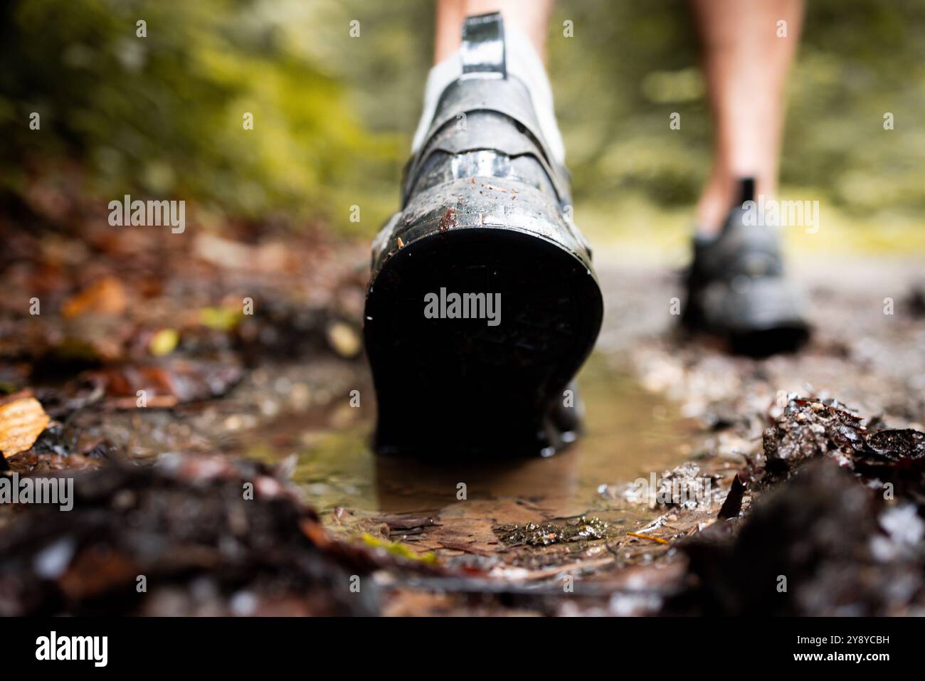 Close up shot of a runner shoe stepping into the mud on a trail Stock ...