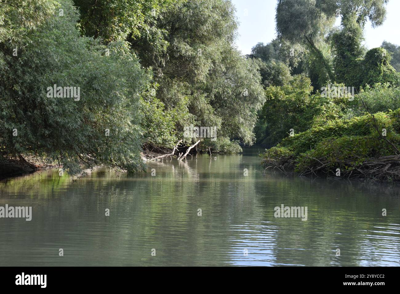 Danube Delta, Romania, Europe Stock Photo - Alamy