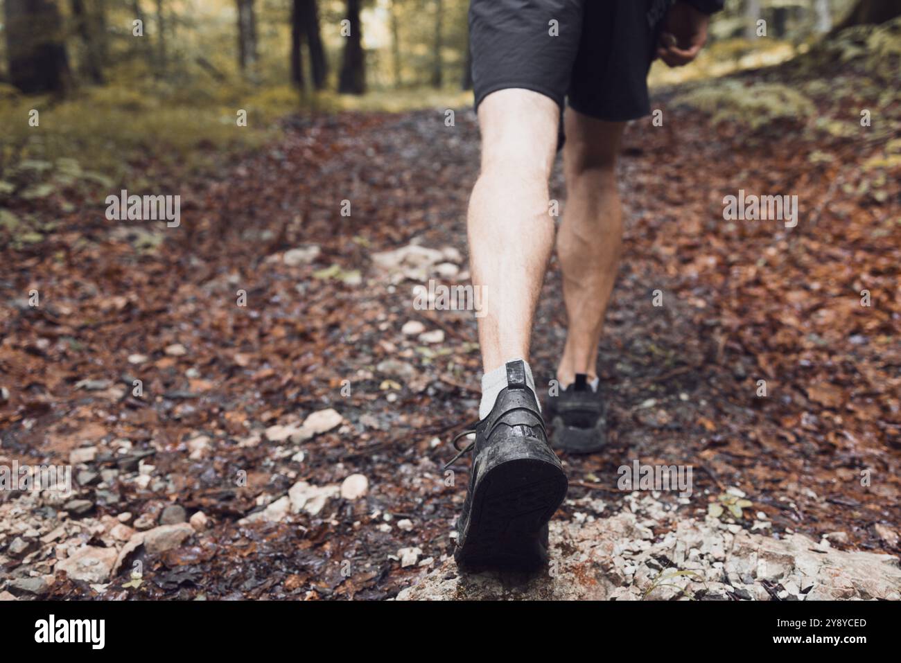 Male athlete running on green hi-res stock photography and images - Alamy