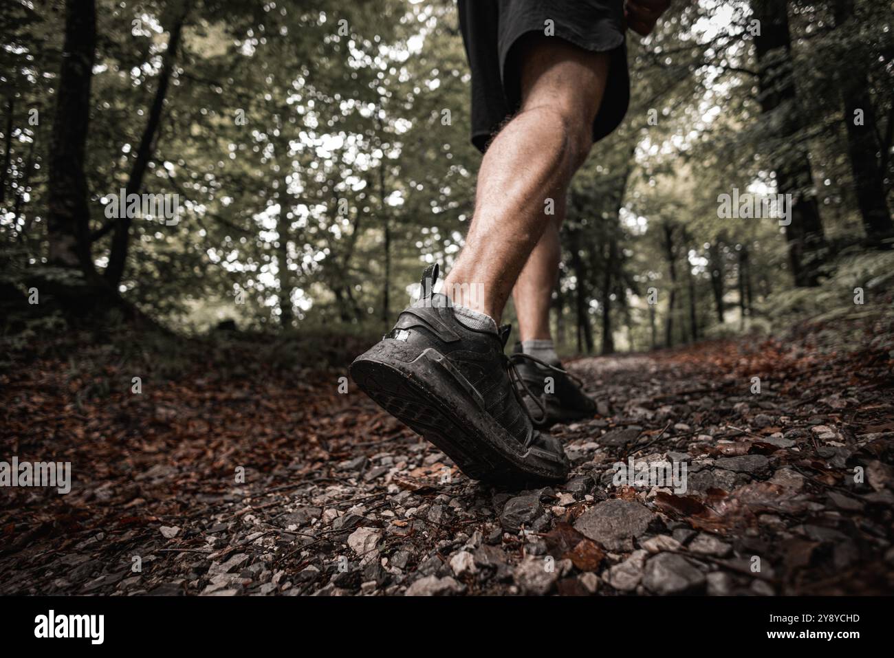 Young adult man running in a forest hi-res stock photography and images ...