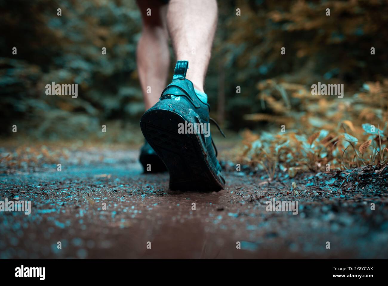 Legs of athletic build male runner running on a muddy forest trail ...