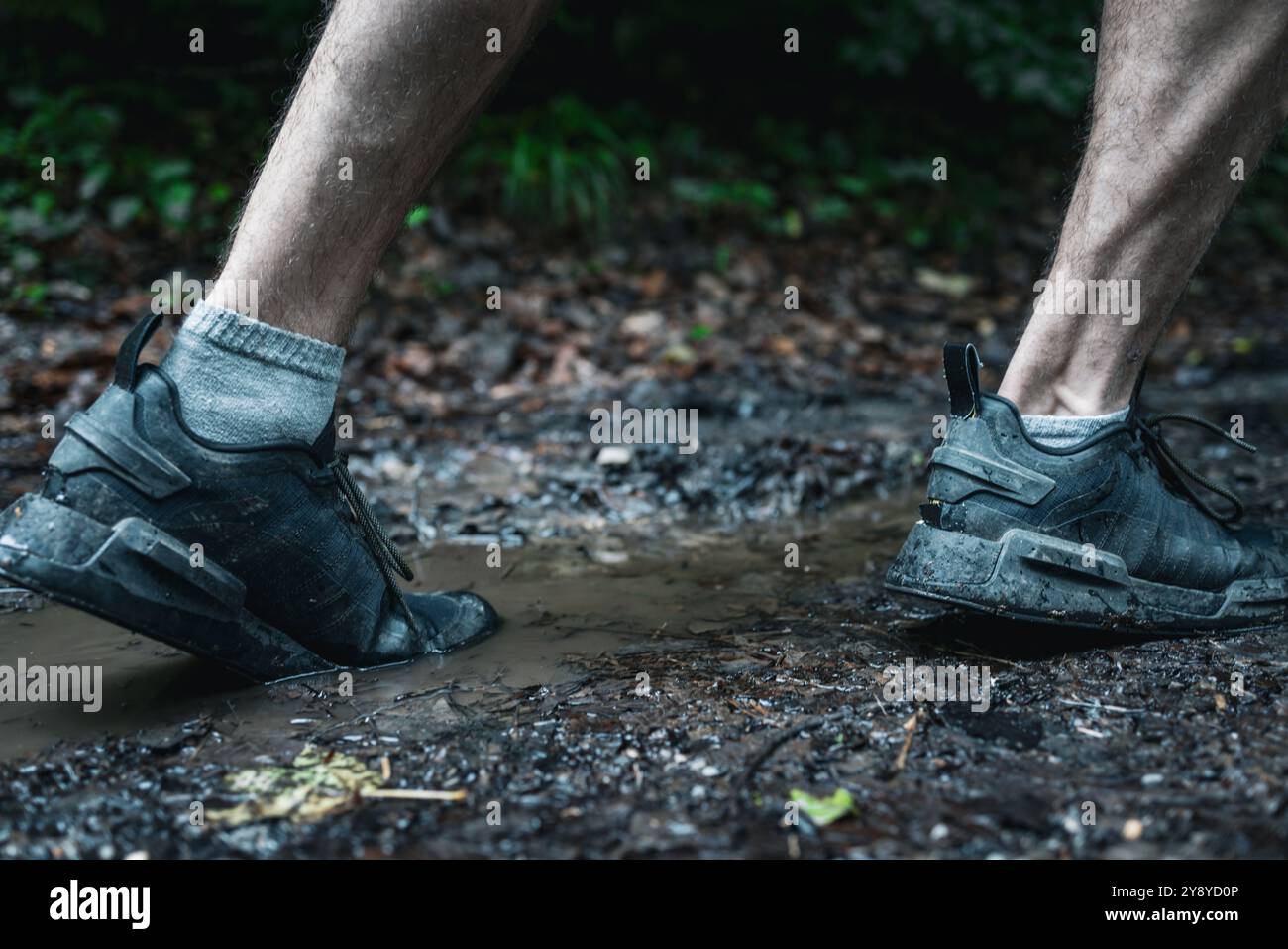 Legs of an unrecognized athletic build male runner running on a forest muddy trail in fall ...