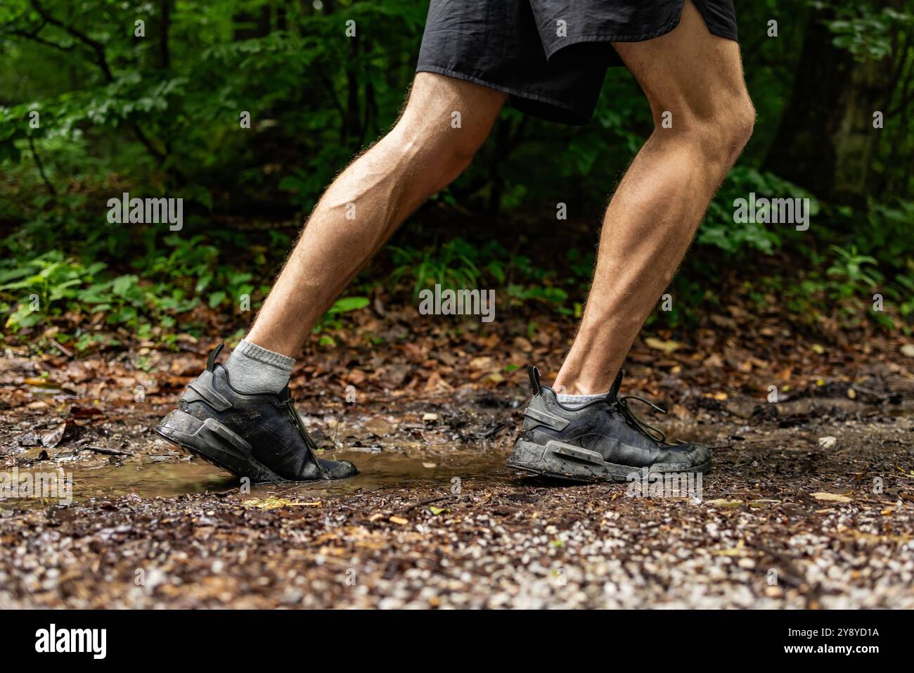Legs of an unrecognized athletic build male runner running on a forest muddy trail in fall ...