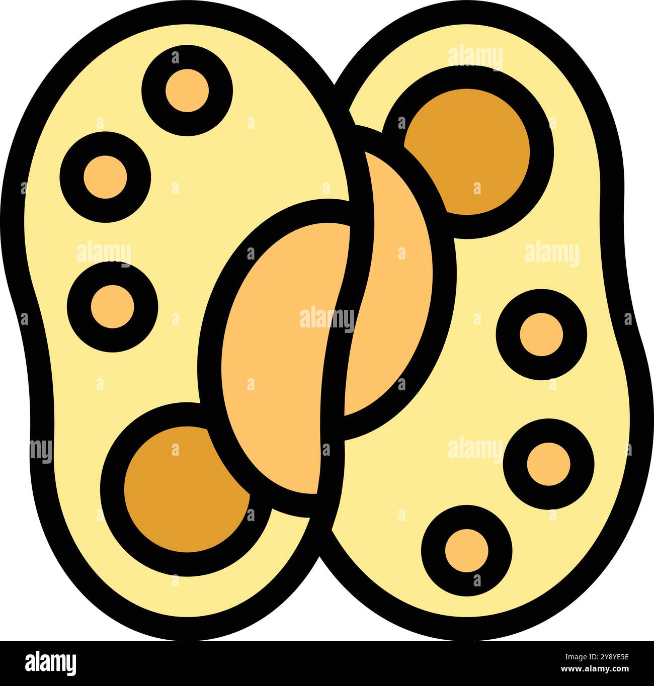 Cartoon style icon depicting a bean showing its inside seeds ...