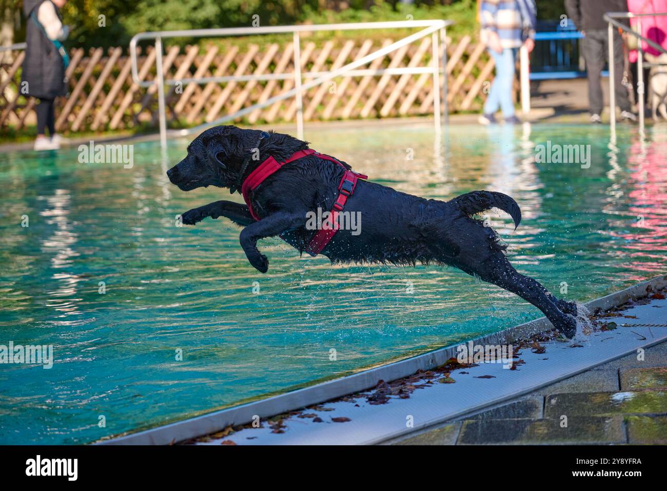 Welper hi-res stock photography and images - Alamy