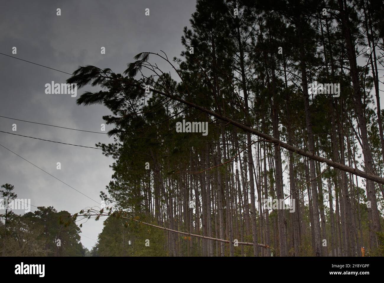 Property damage of Hurricane Helene the day after hit Southern Georgia ...