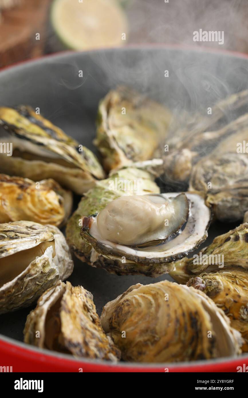 very fresh steamed oysters in shell Stock Photo - Alamy