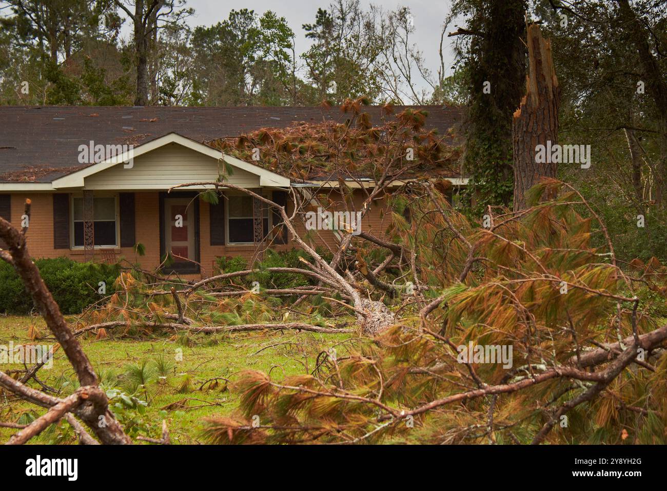 Property damage of Hurricane Helene the day after hit Southern Georgia ...