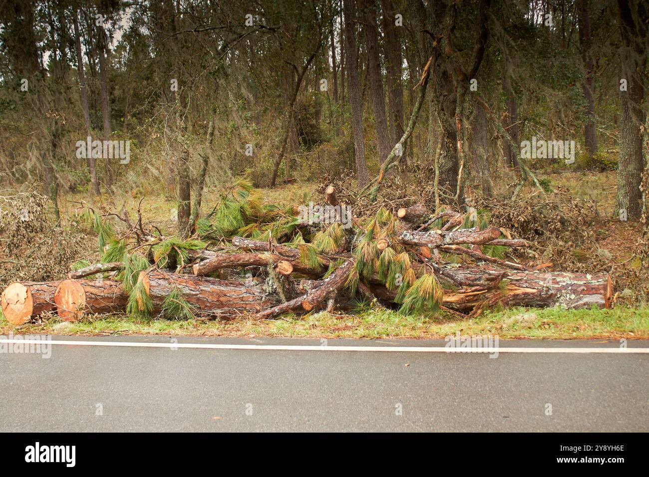 Property damage of Hurricane Helene the day after hit Southern Georgia ...