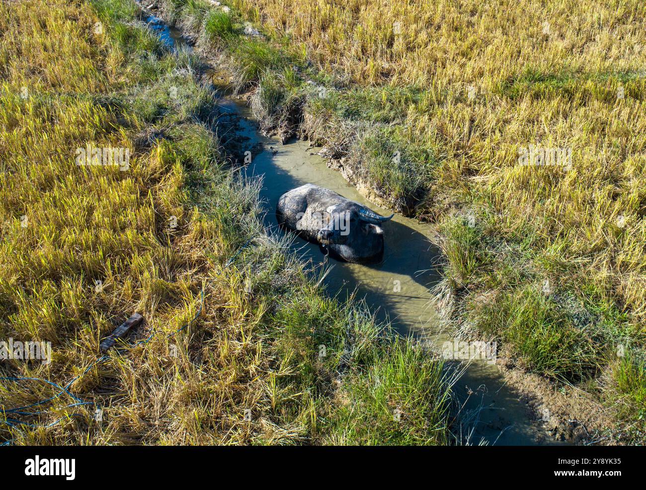 Muddy ditch hi-res stock photography and images - Alamy
