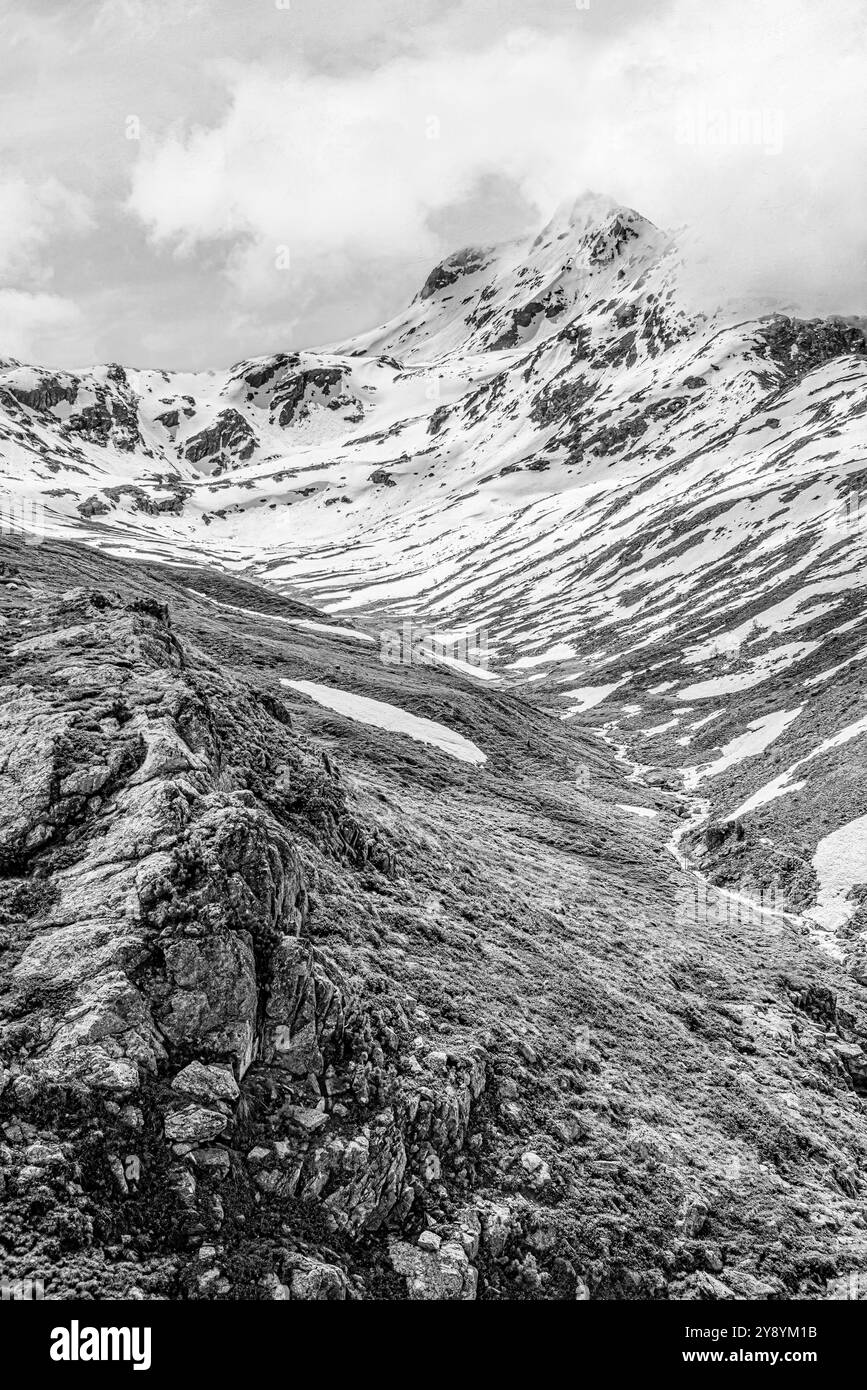 Black and white view at Piz Languard in summer, Pontresina, Engadine ...