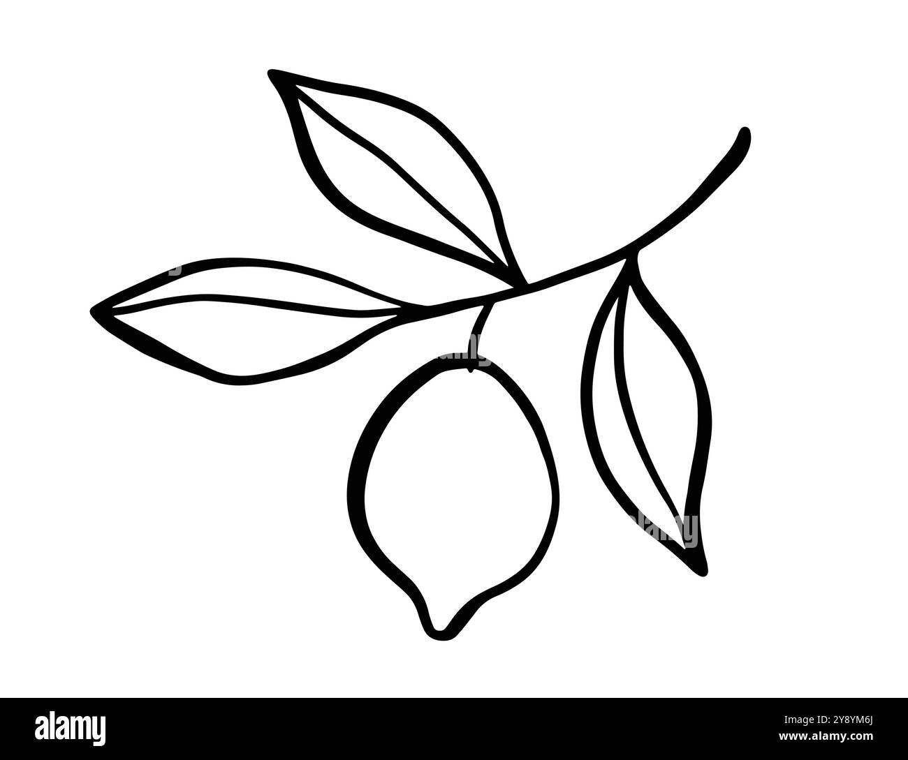 Lemon Branch Sketch Outline Doodle Citrus Icon Stock Vector Image & Art ...