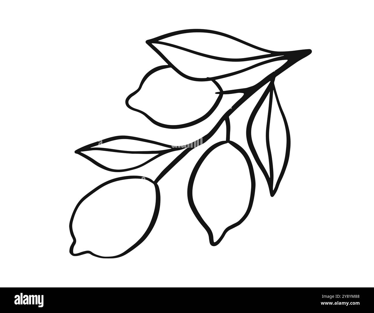 Lemon Branch Sketch Outline Doodle Citrus Icon Stock Vector Image & Art ...