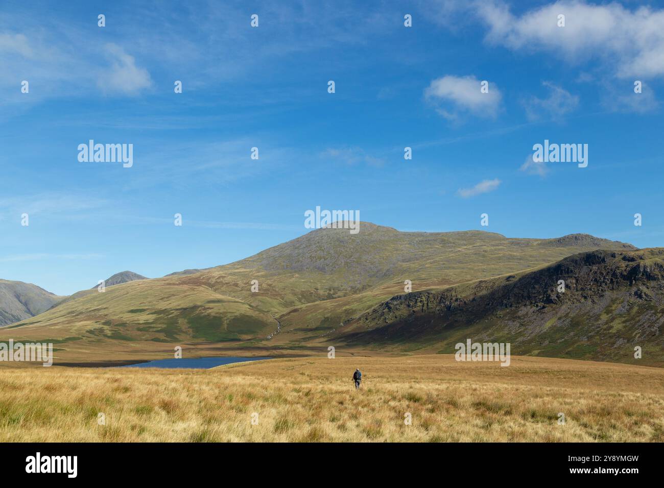 A walker heading towards Burnmoor Tarn with Scafell mountain in the ...