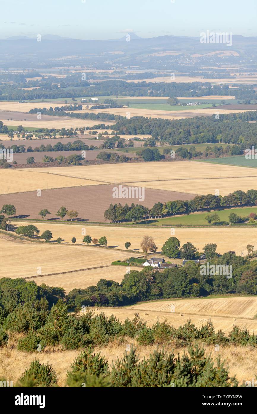 Newtyle angus hi-res stock photography and images - Alamy