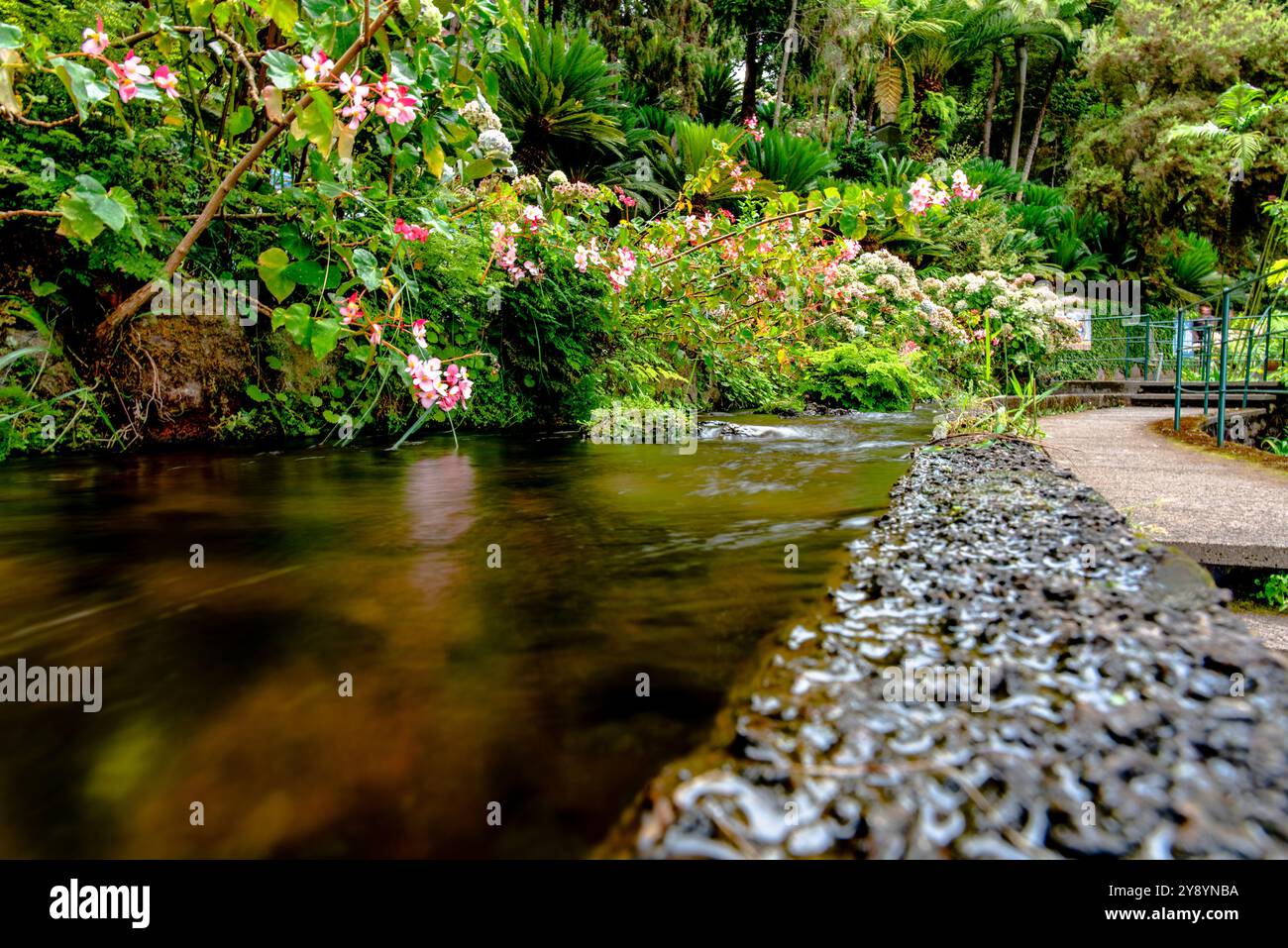 Levada hike in madeira hi-res stock photography and images - Alamy