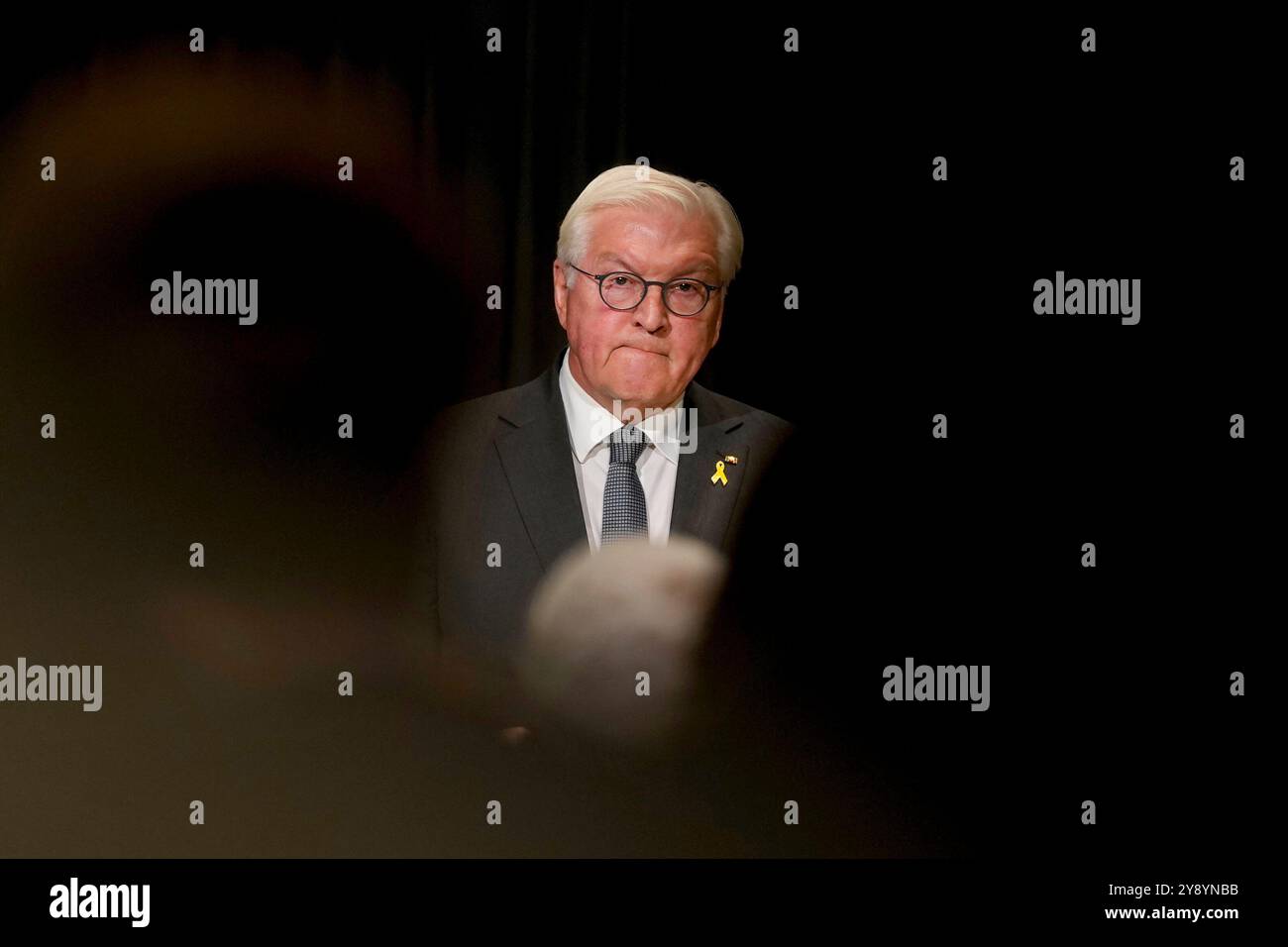 German President Frank-Walter Steinmeier attends an official ...