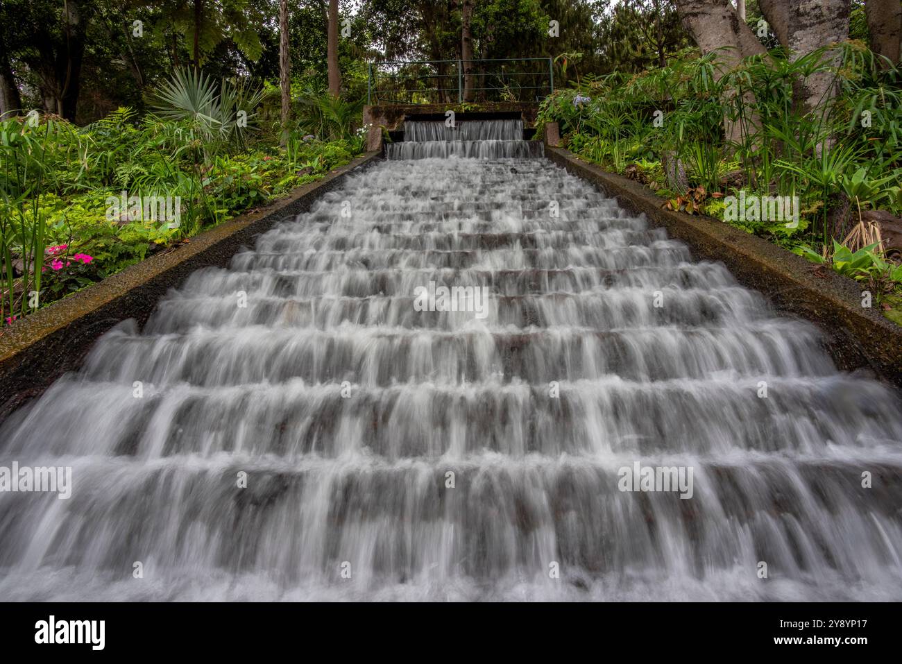 waterfalls in the botanical gardens in Madeira Portugal Stock Photo - Alamy