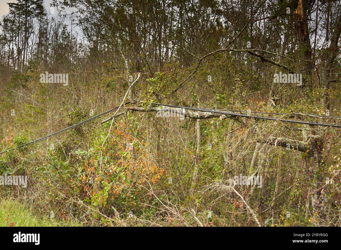 Property damage of Hurricane Helene the day after hit Southern Georgia ...