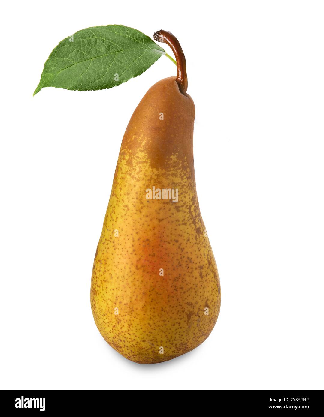 Abate fetel pear with leaf isolated on white with clipping path ...