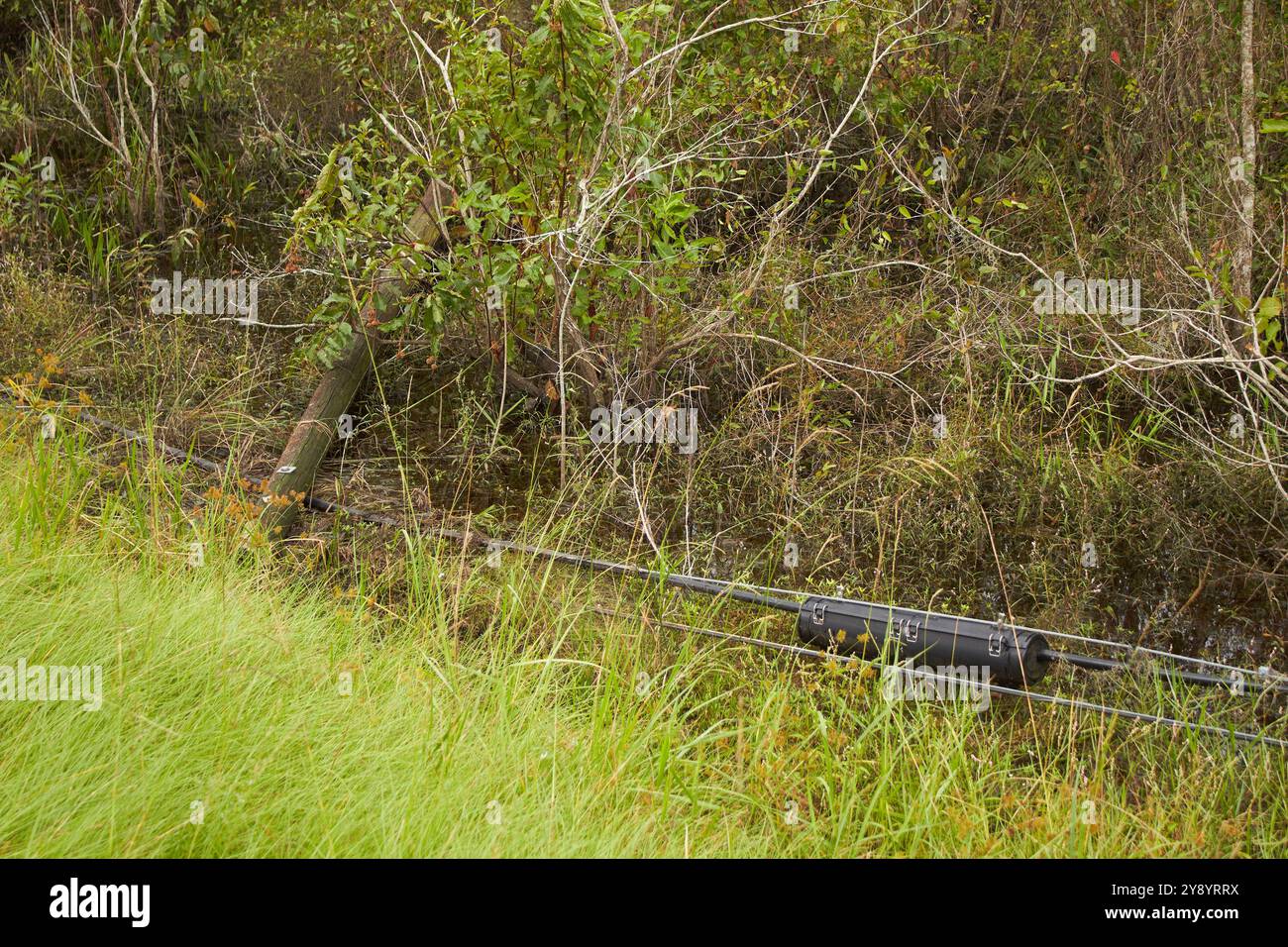 Property damage of Hurricane Helene the day after hit Southern Georgia ...