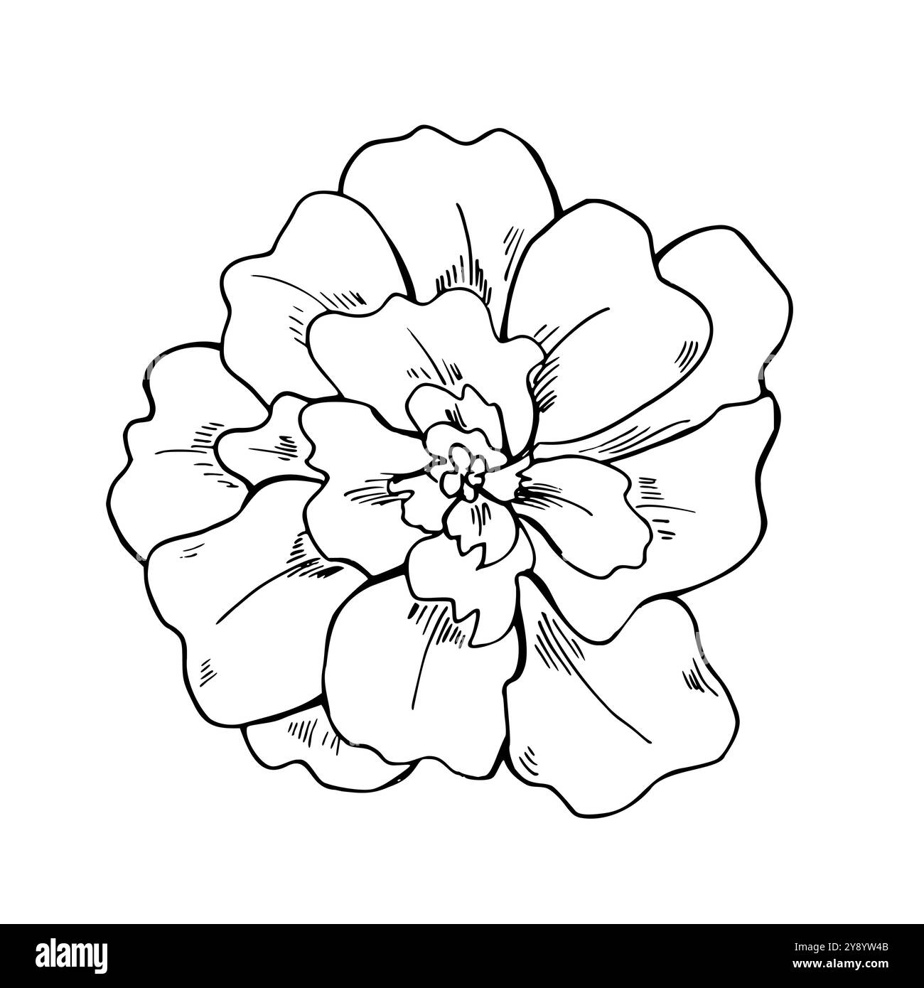 Book icon engraving Stock Vector Images - Alamy