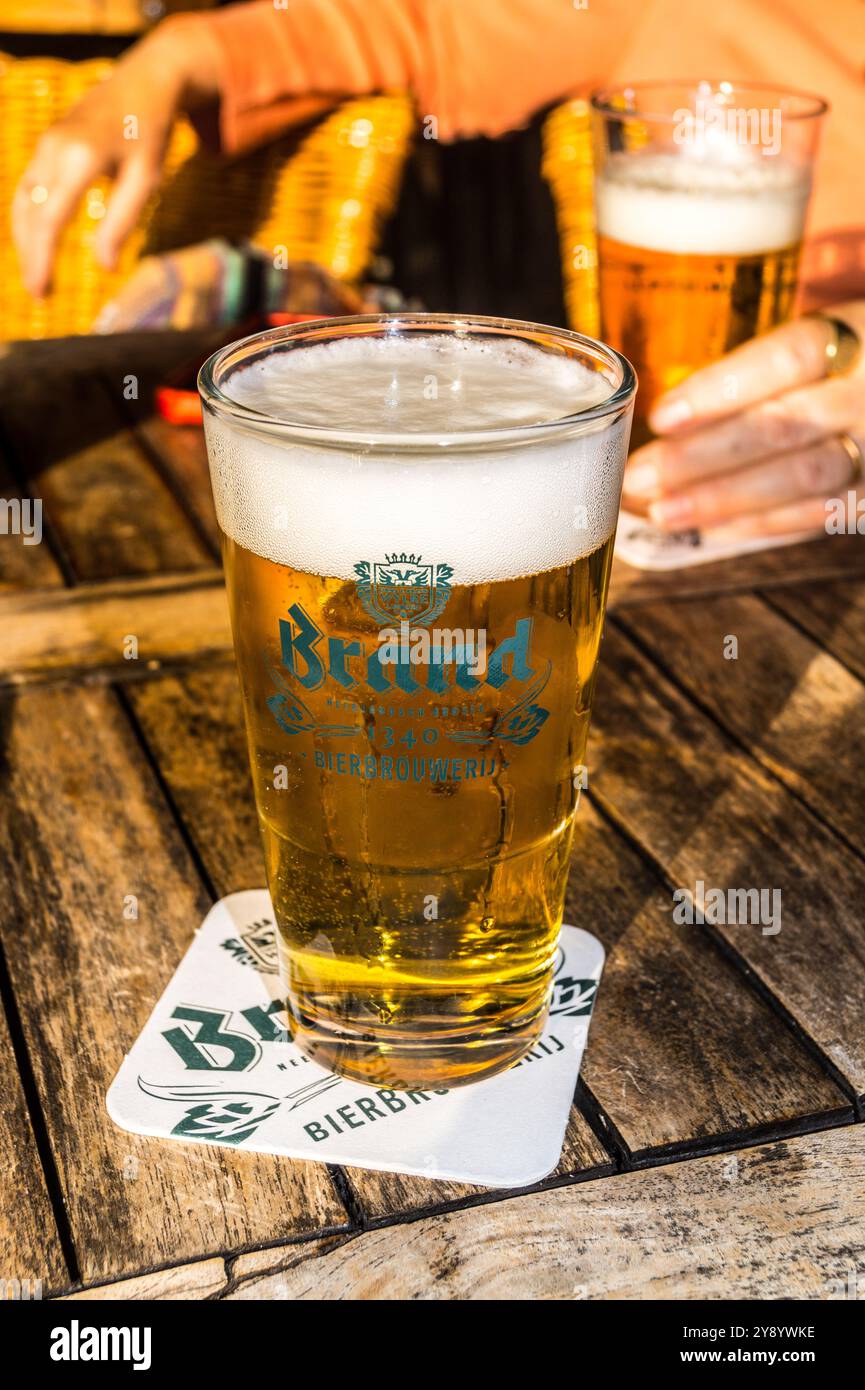 A glass of Brand Pilsener lager, Café Paulus, Maastricht, Netherlands ...