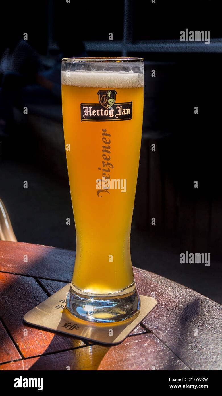 Hertog jan beer hi-res stock photography and images - Alamy