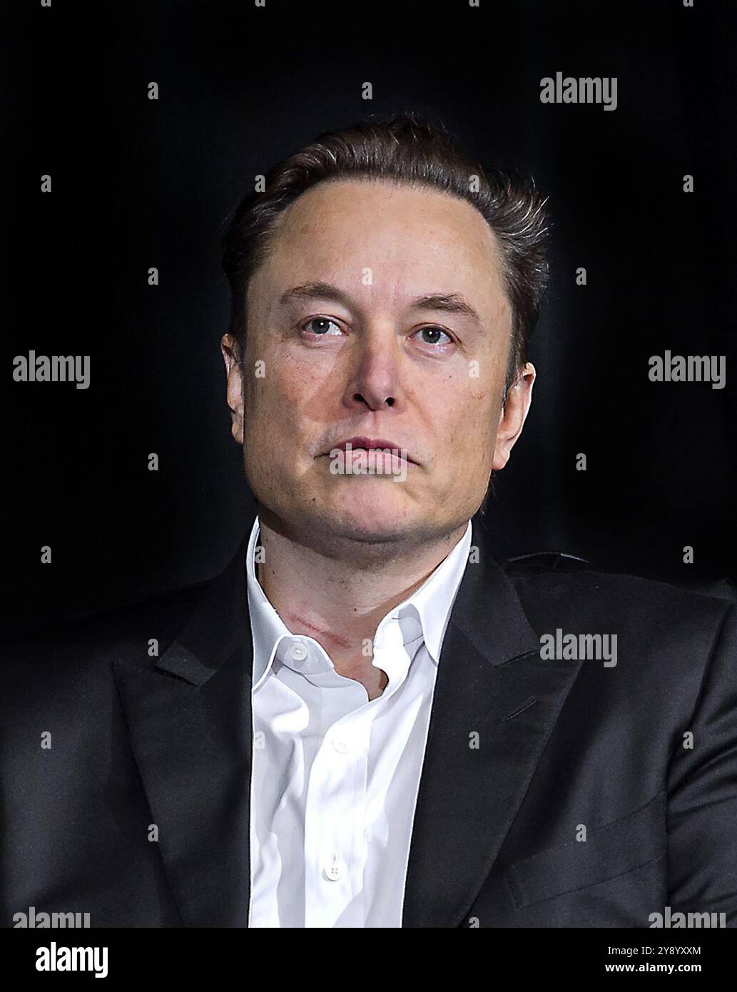 Elon Musk. Portrait of the South African born billionaire, Elon Reeve ...