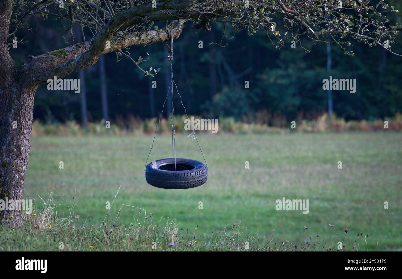 Abandoned swing on the garden made of old tire. Sadness, loneliness or childhood concept photo ...