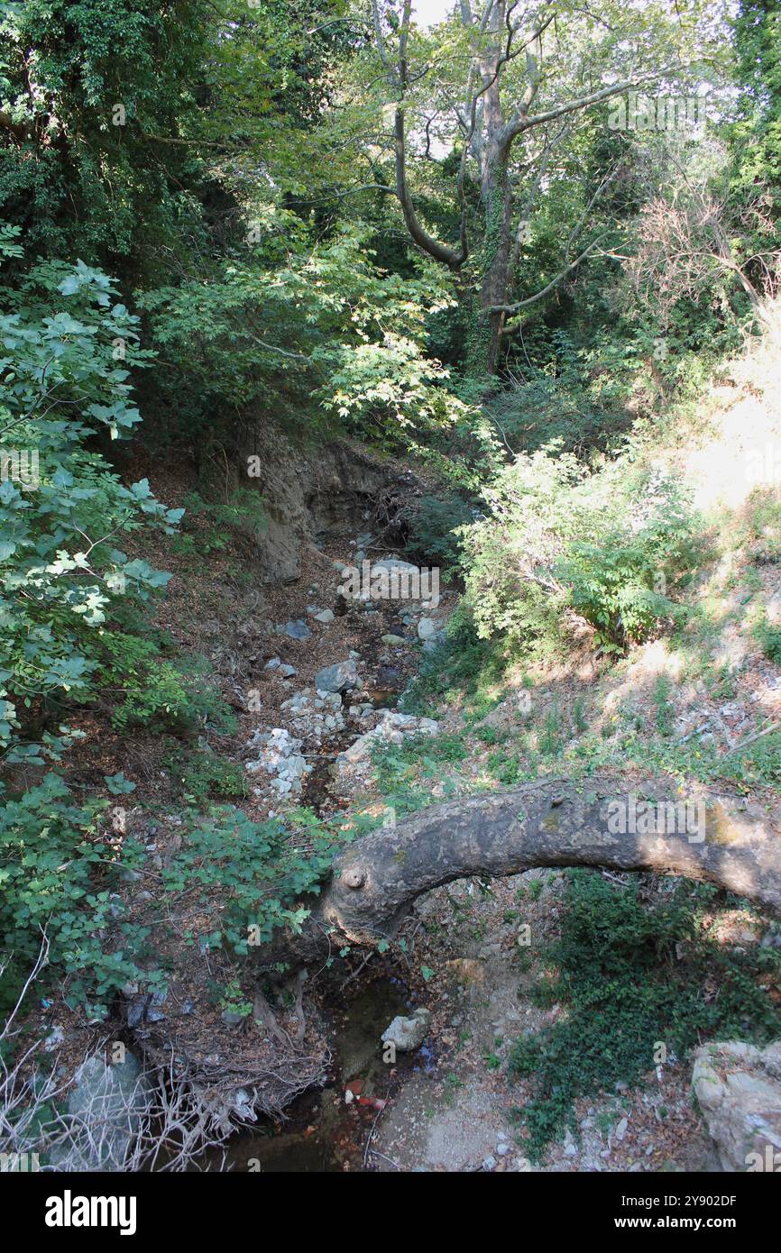The path of the centaurs (after Cyclone Daniel) Portaria Pelion Greece ...