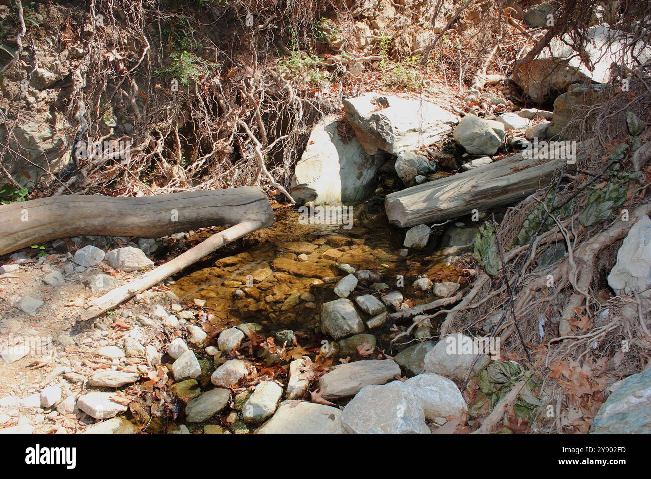 The path of the centaurs (after Cyclone Daniel) Portaria Pelion Greece ...