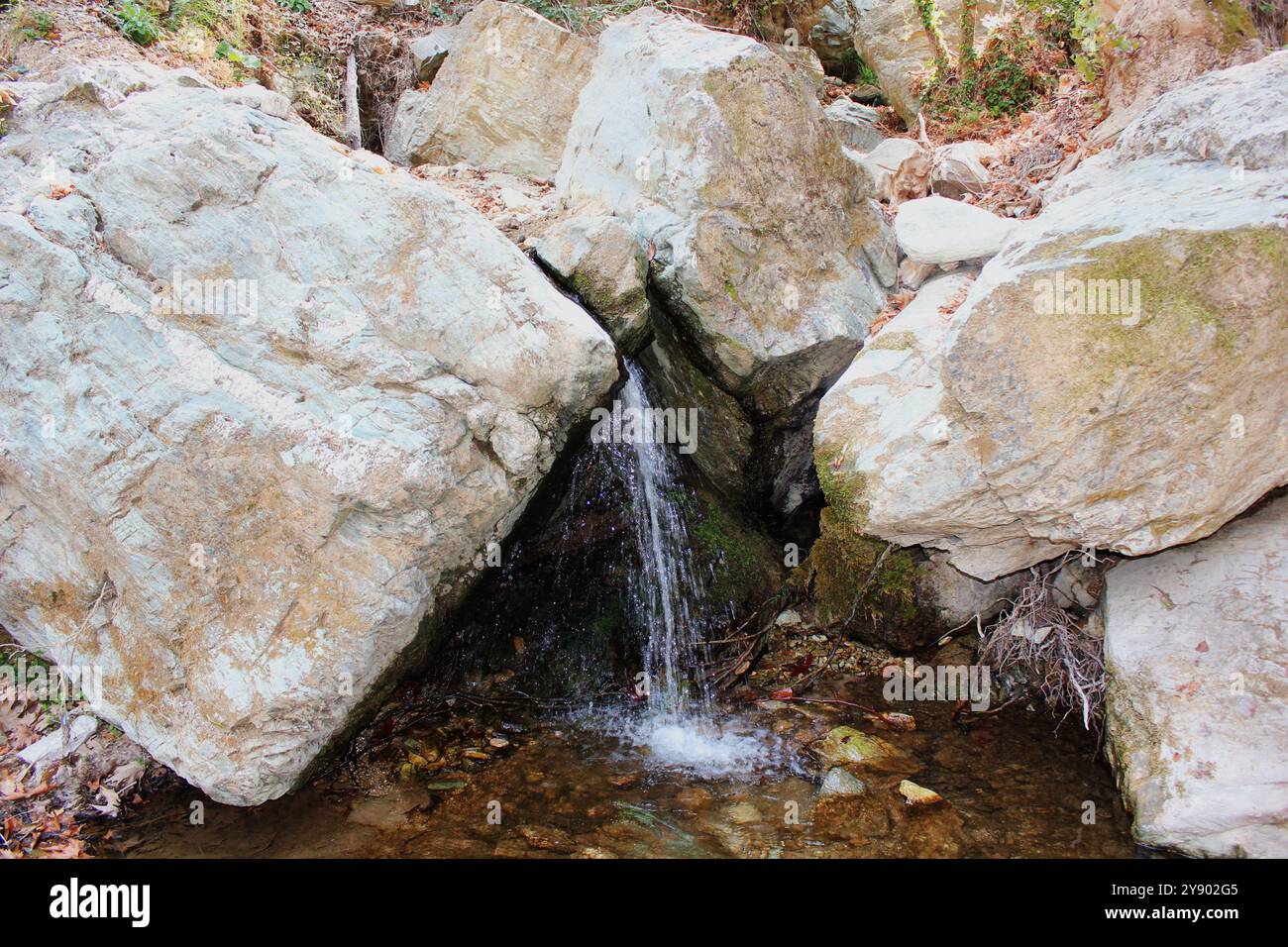 The path of the centaurs (after Cyclone Daniel) Portaria Pelion Greece ...