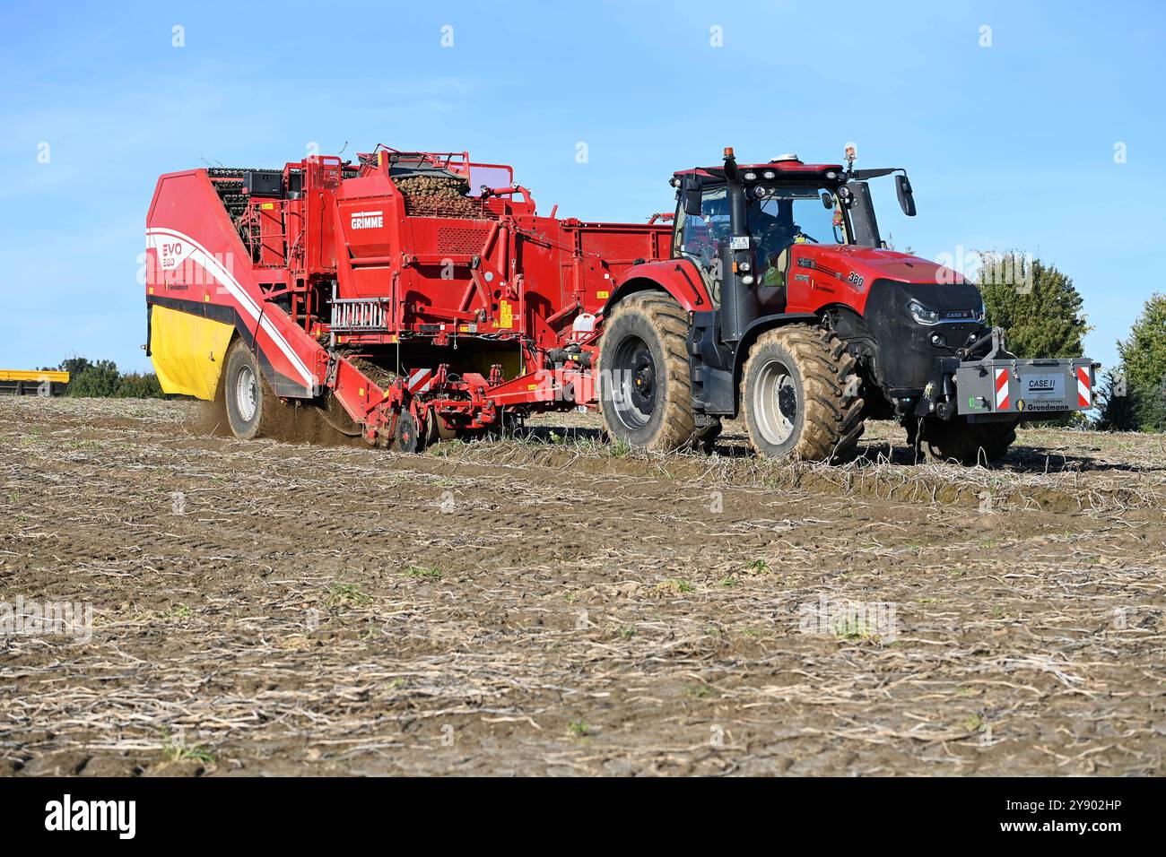 Buende, Deutschland. 06th Oct, 2024. Topic picture potatoes, a farmer ...