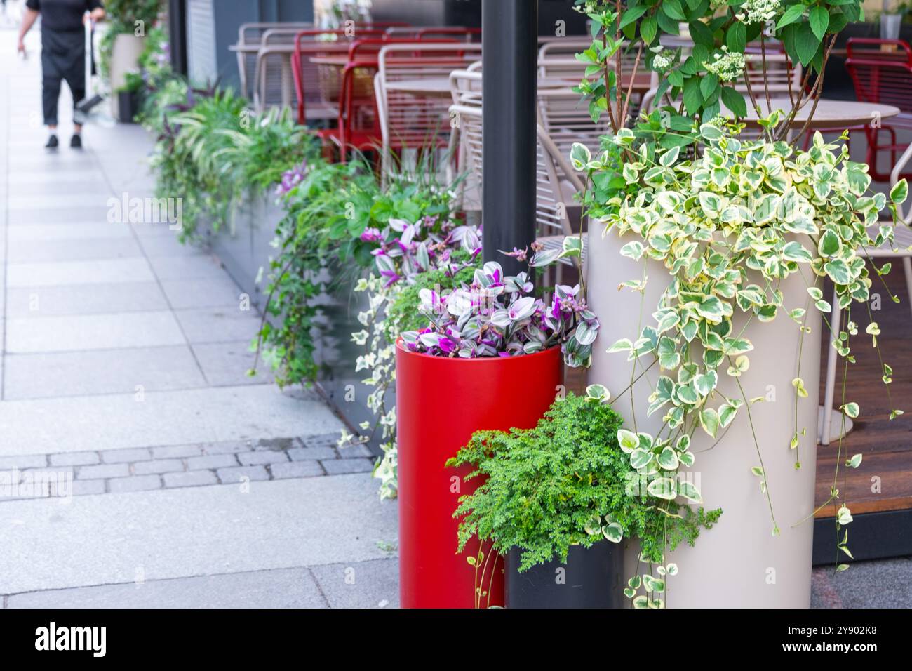 Outdoor landscaping - pots and planters on the city street with outdoor ...