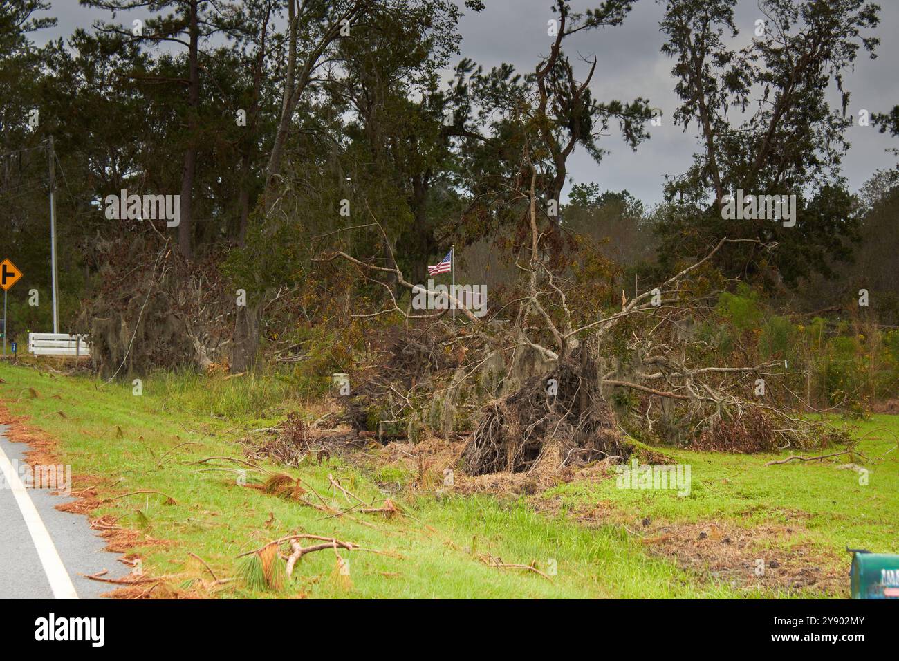 Hurricane aftermath showing large tree hi-res stock photography and ...