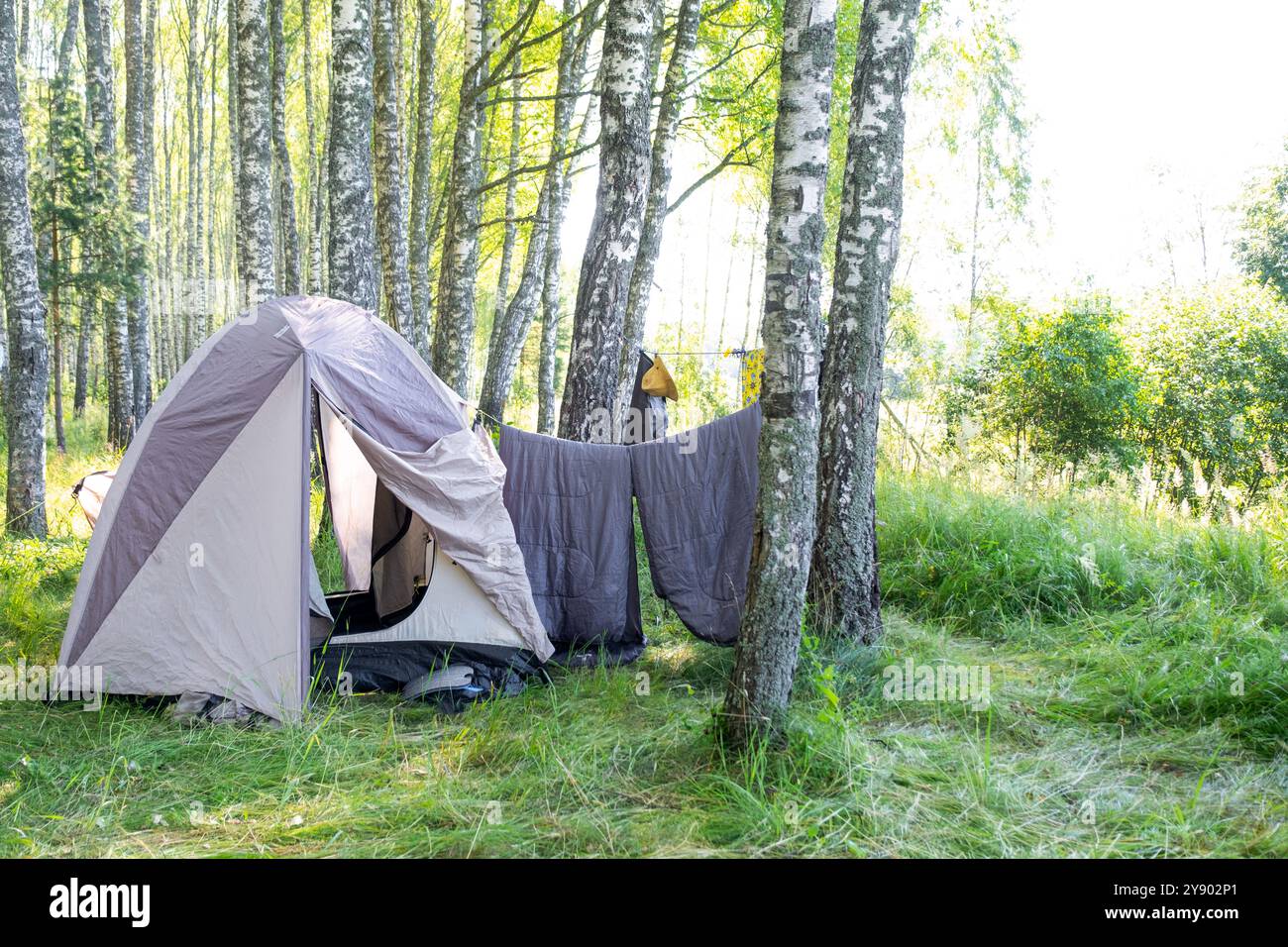 Installed tourist tent in a camping in nature in the forest. Domestic ...