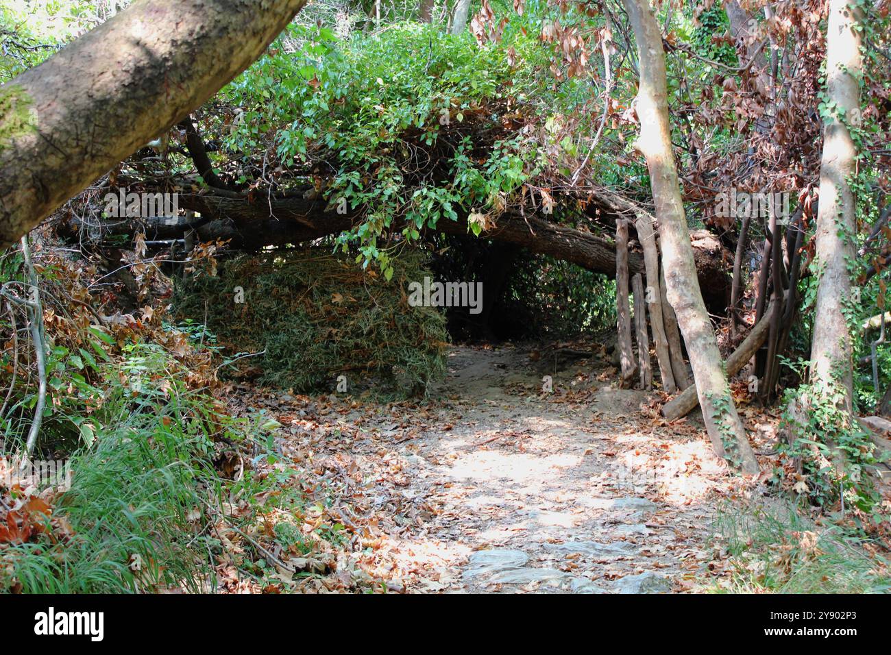 The path of the centaurs (after Cyclone Daniel) Portaria Pelion Greece ...
