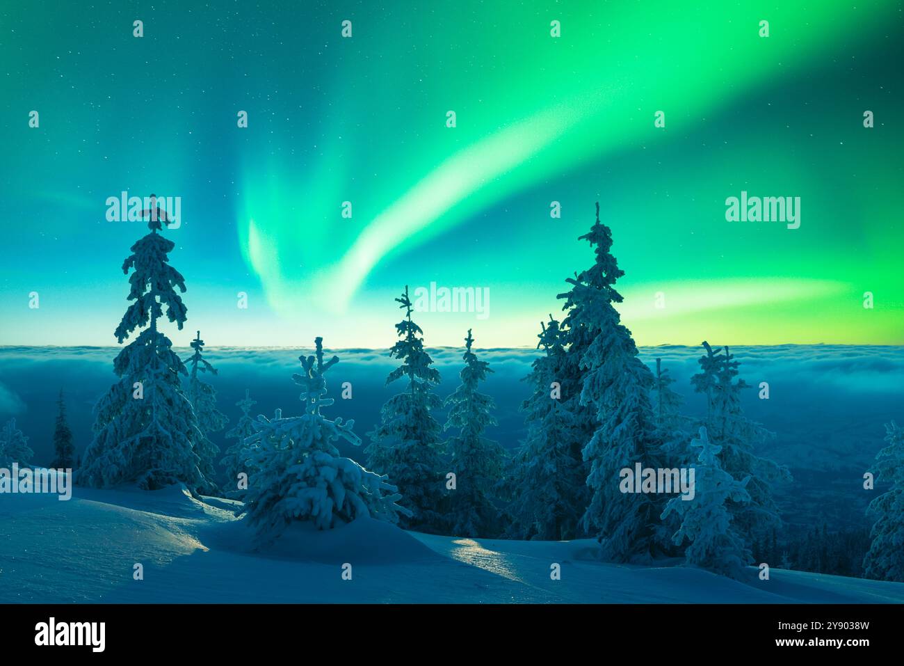 Fairy winter mountains with snowy fir-trees and incredible Northern ...