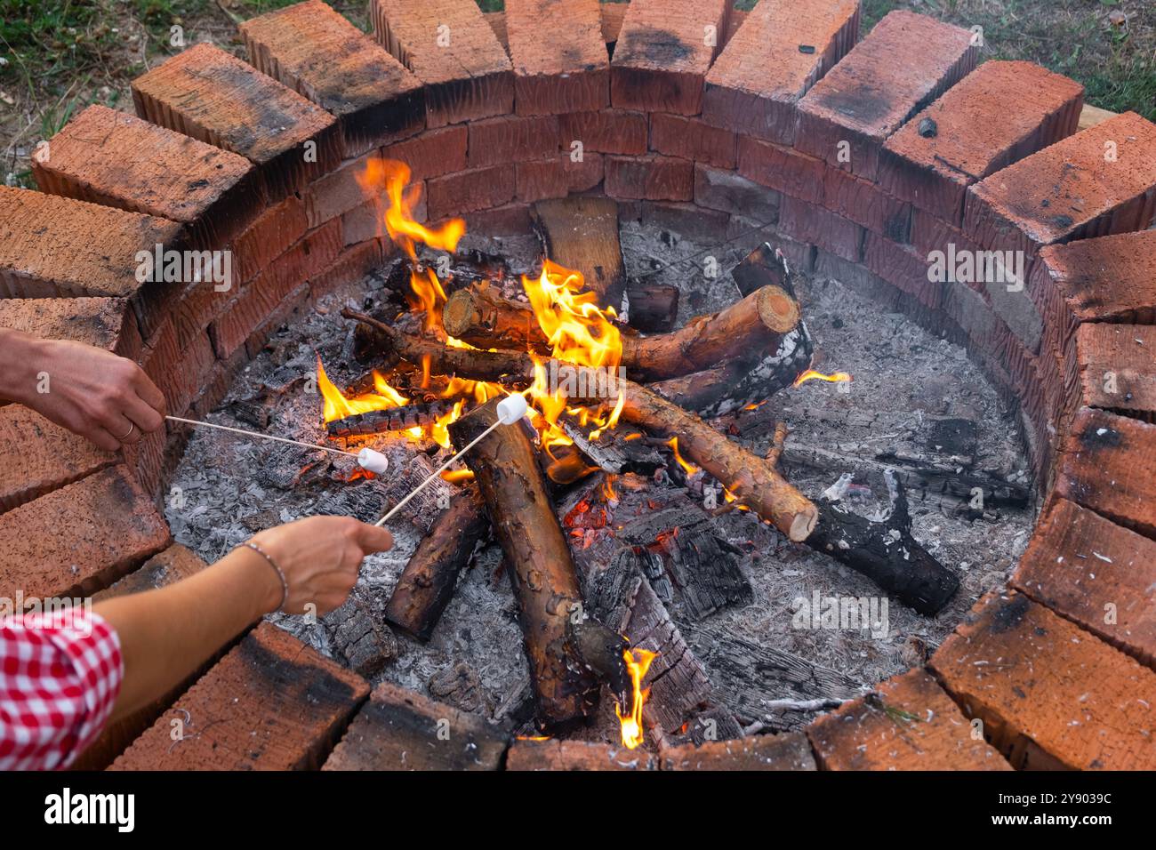 Marshmallows on a skewer are fried over a campfire in round brick fire ...