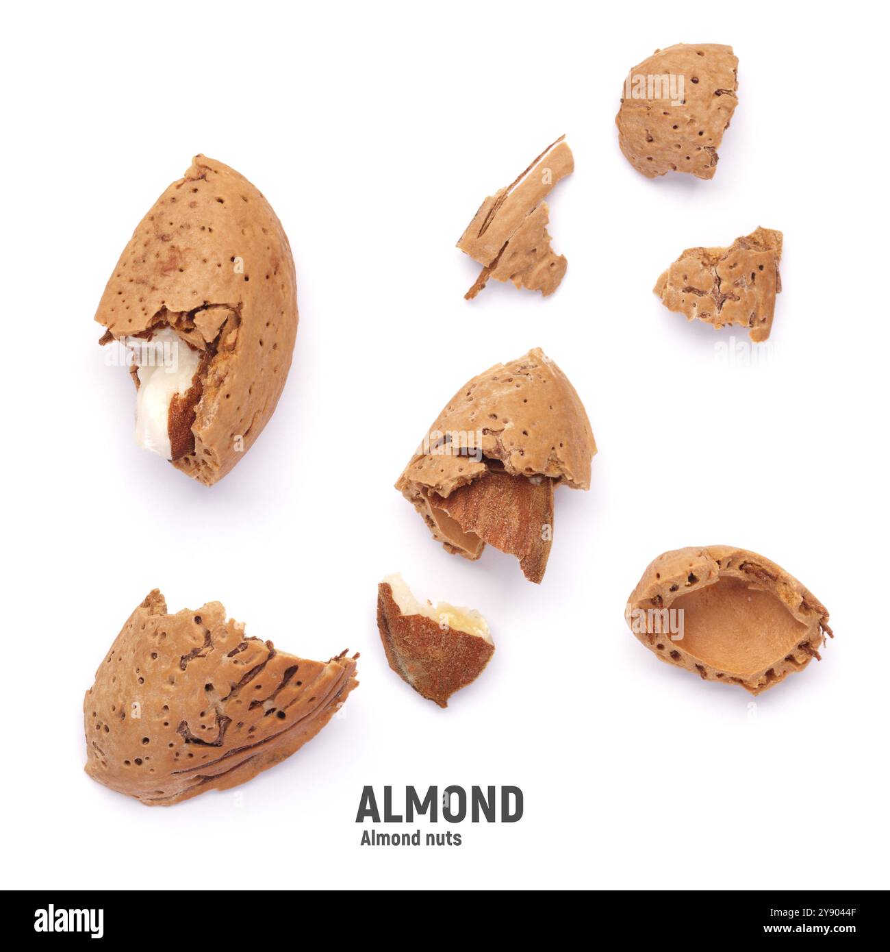 Almond nut with shell isolated on white background Stock Photo - Alamy