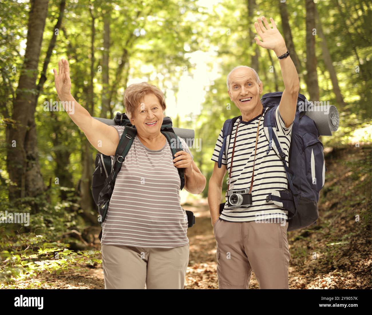 Two senior hikers in a forest waving at the camera Stock Photo - Alamy