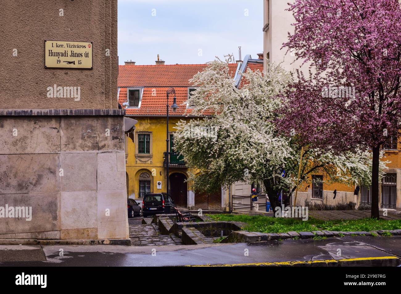 Trees in bloom in Budapest Stock Photo - Alamy