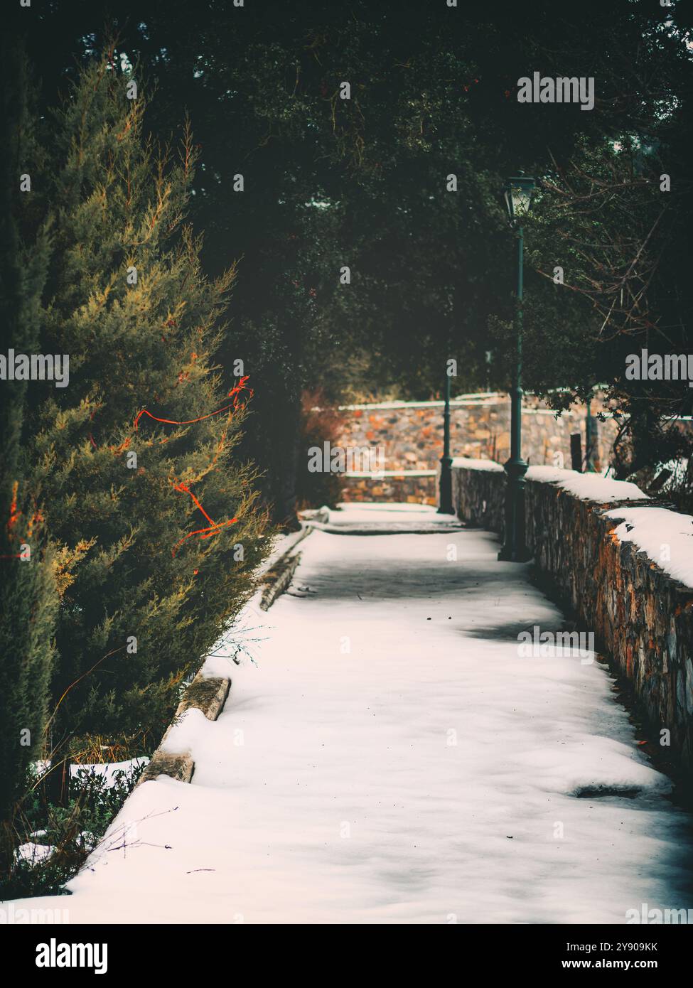 Serene Snowy Pathway in a Winter Wonderland Stock Photo - Alamy